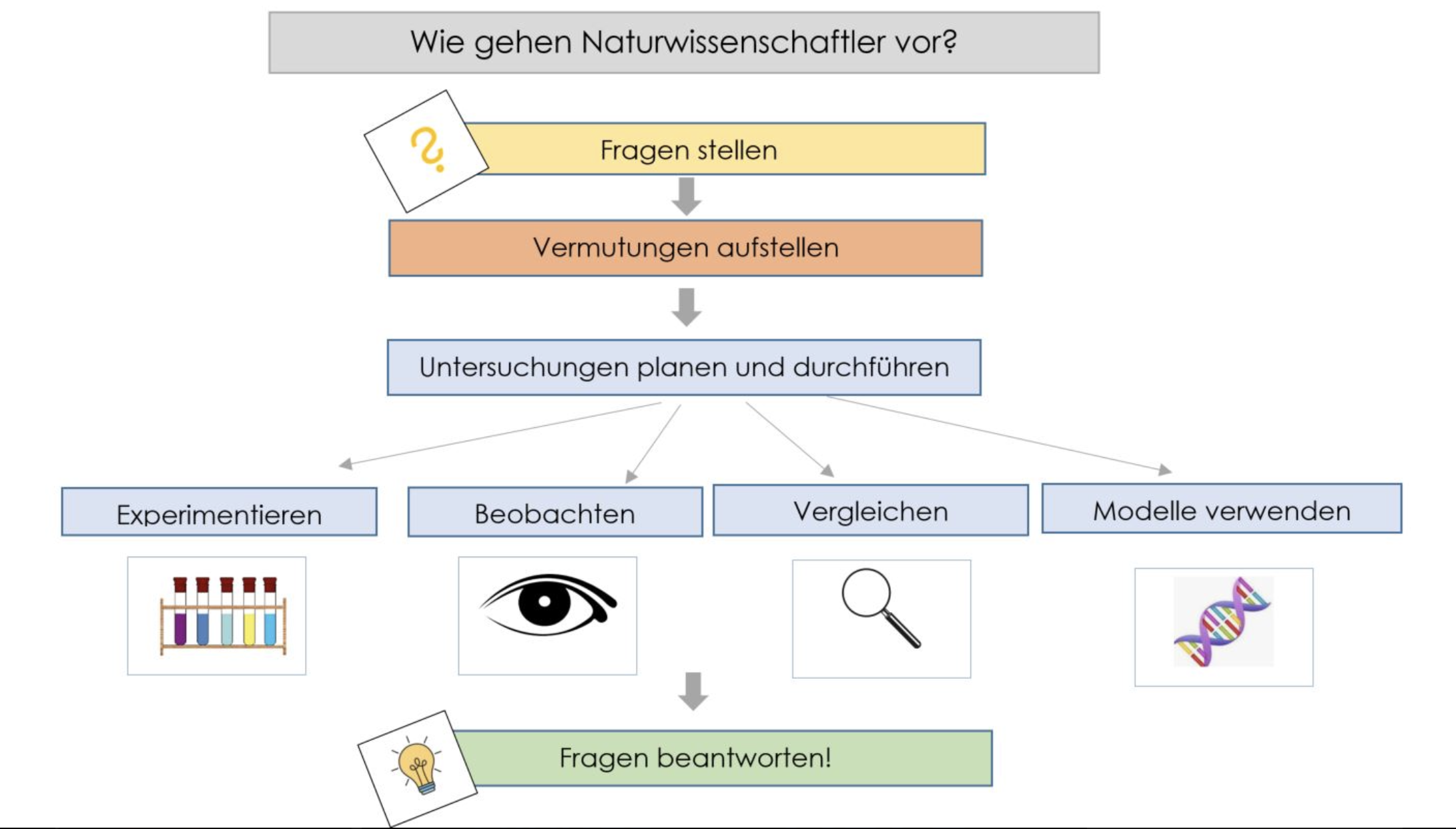 Naturwissenschaftliche Fächer